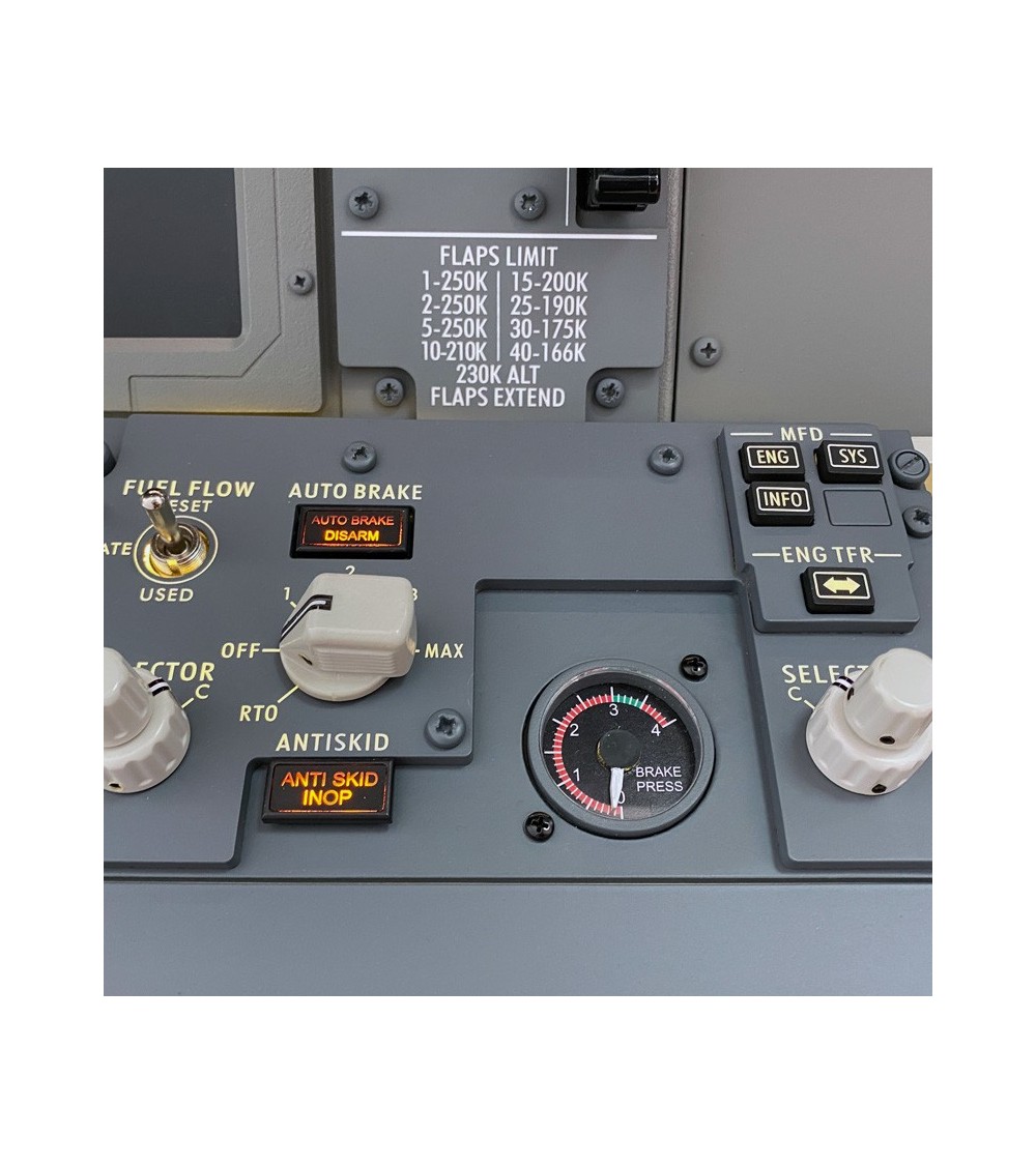 MIP of B737 MAX Simulator